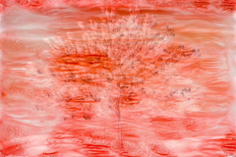 Nicholas Yust - Park West Gallery