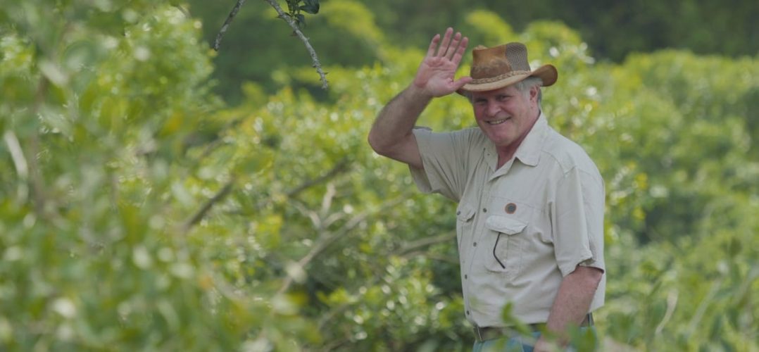 Andrew Bone - Park West Gallery