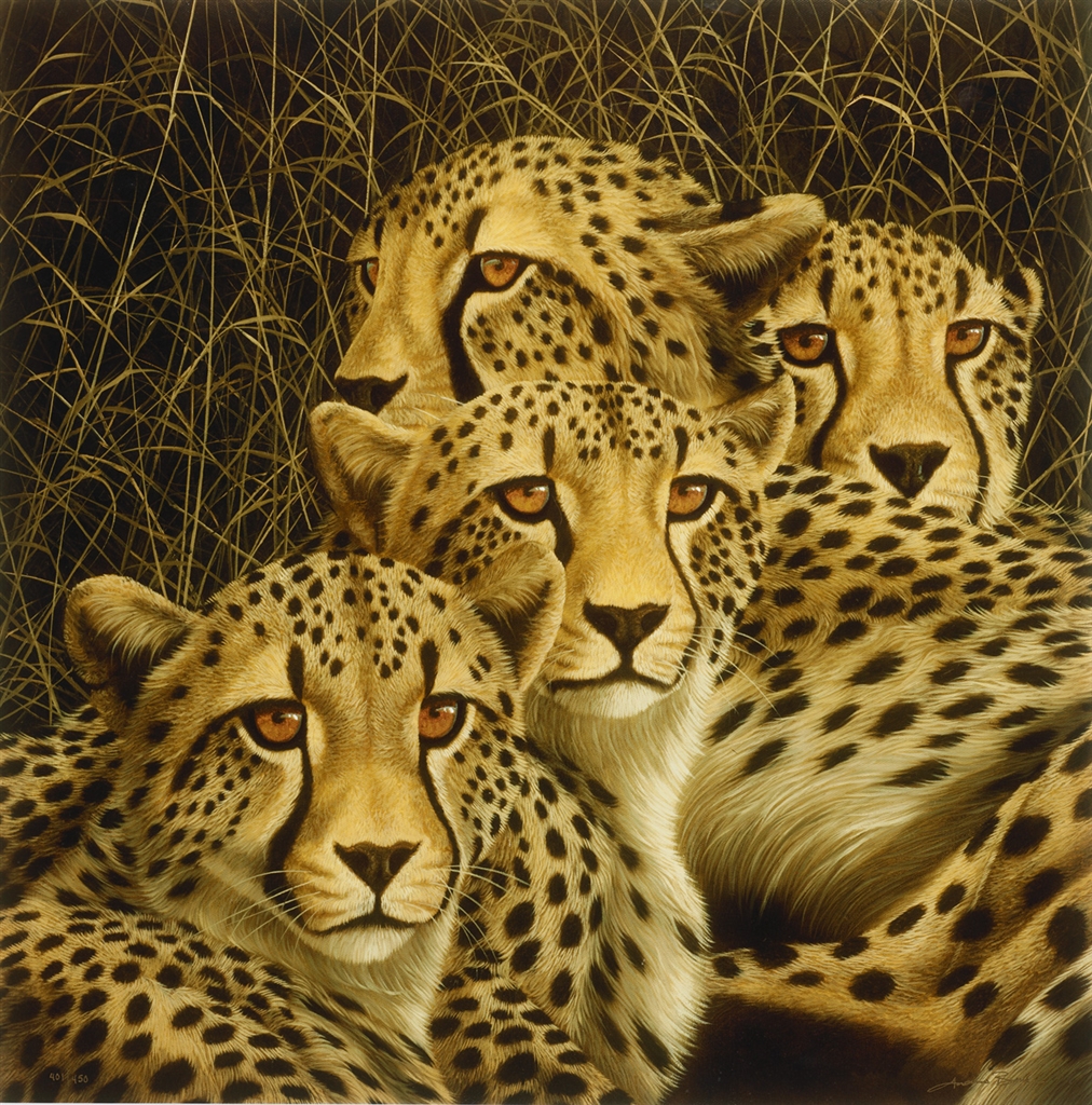 Andrew Bone - Park West Gallery