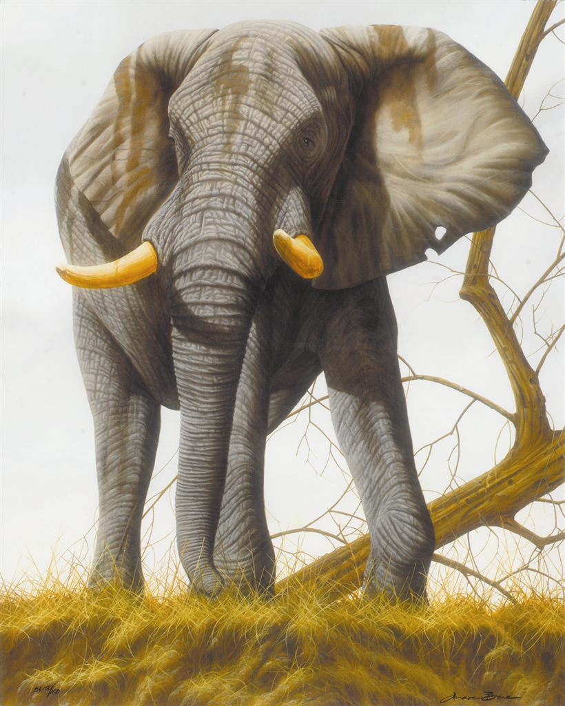 Andrew Bone - Park West Gallery