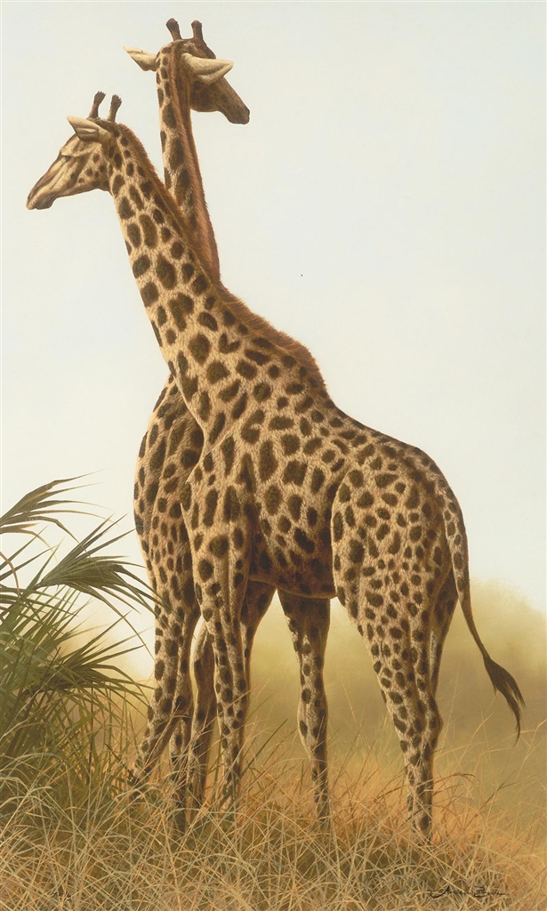 Andrew Bone - Park West Gallery