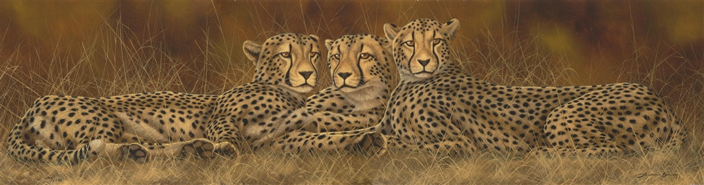 Andrew Bone - Park West Gallery