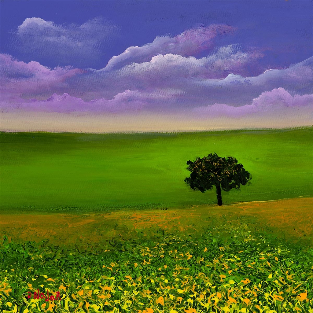 Browse Artwork by David Najar - Park West Gallery