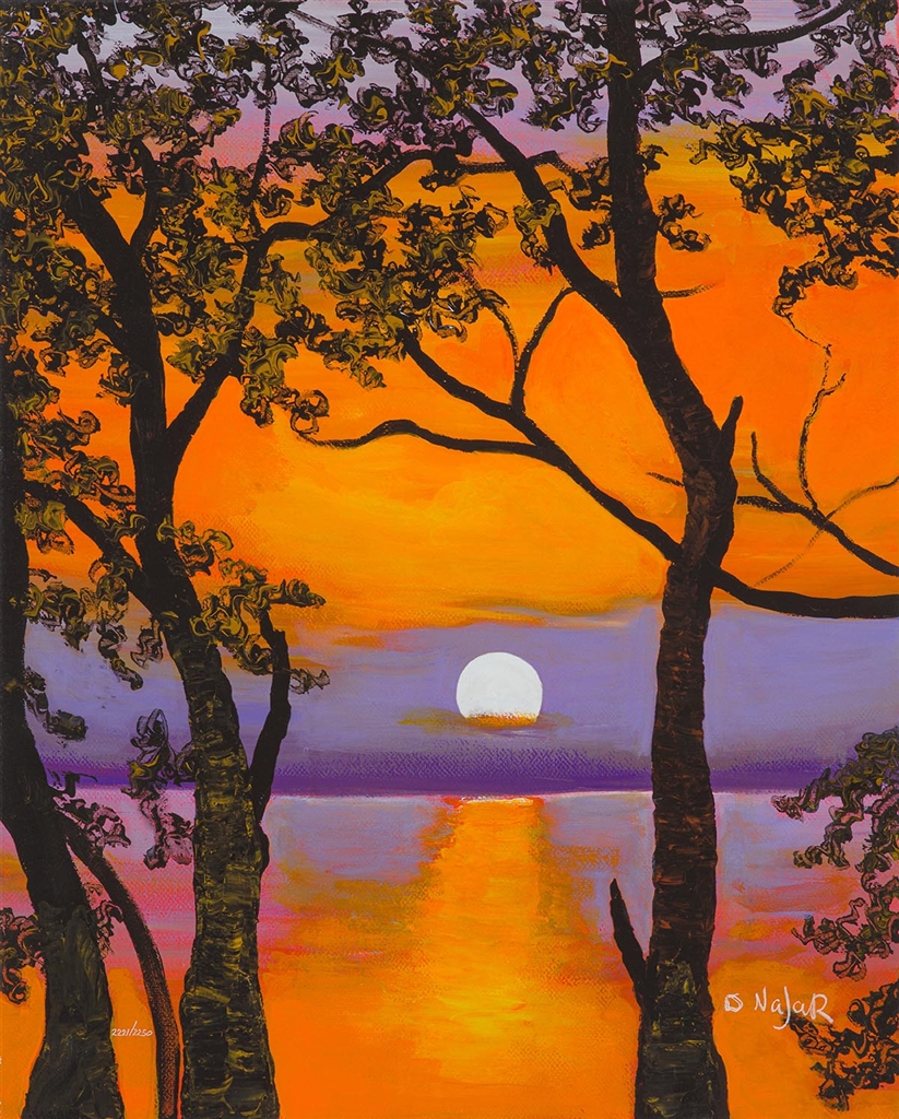 David Najar - Park West Gallery