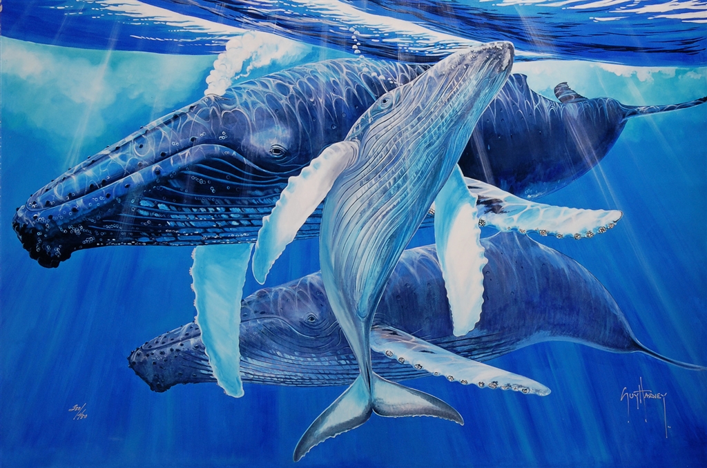 Browse Artwork by Guy Harvey - Park West Gallery