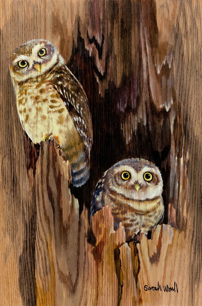 Sarah Wall - Park West Gallery
