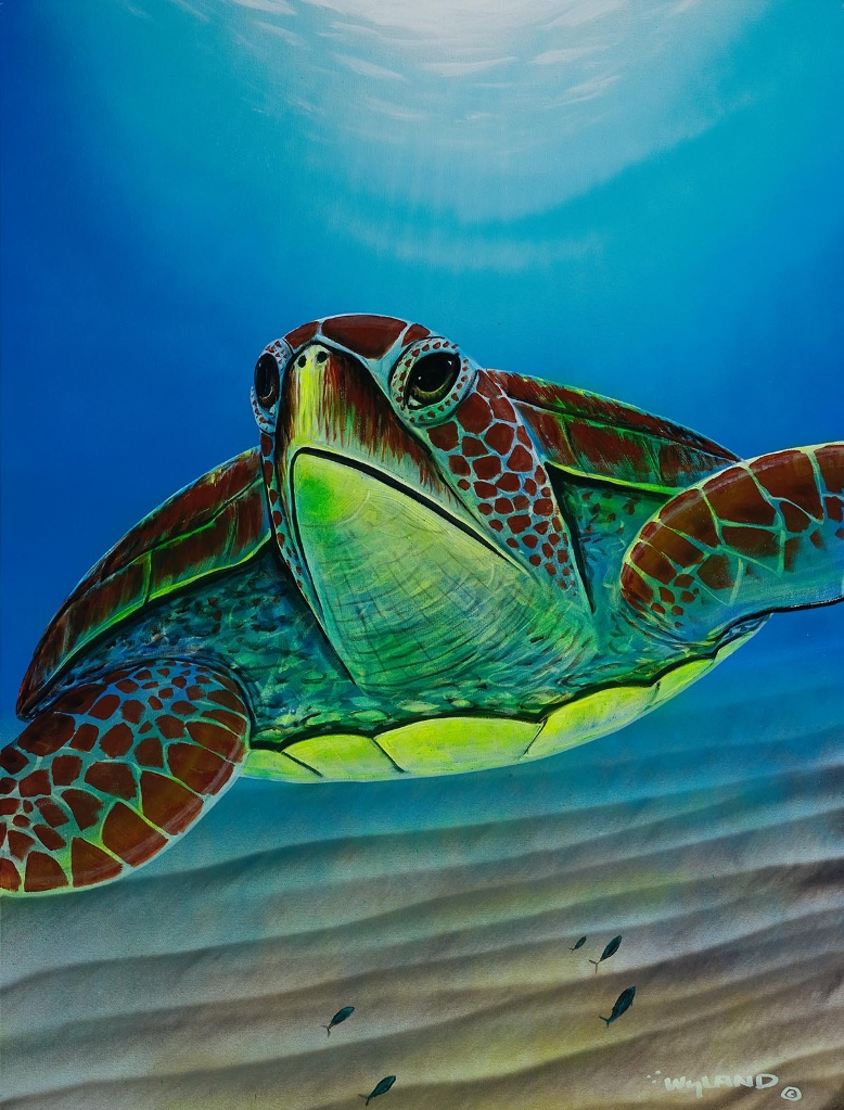 Wyland - Park West Gallery
